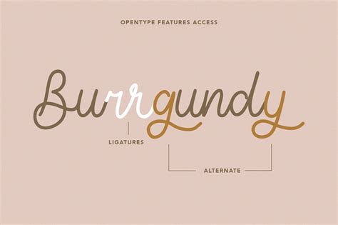 Tiffanky Monoline Cursive Font On Behance