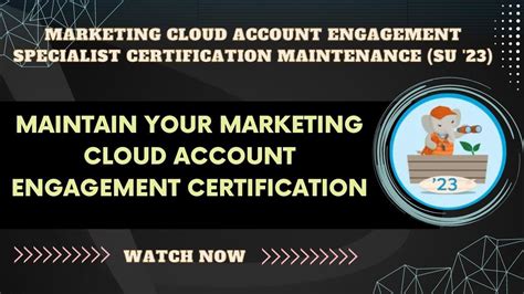 Salesforce Trailhead Maintain Your Marketing Cloud Account Engagement