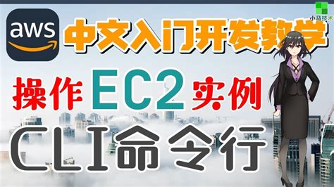Aws 中文入门开发教学 Aws Cli 操作 Ec2 实例，一切皆在命令中【1级会员】 Youtube