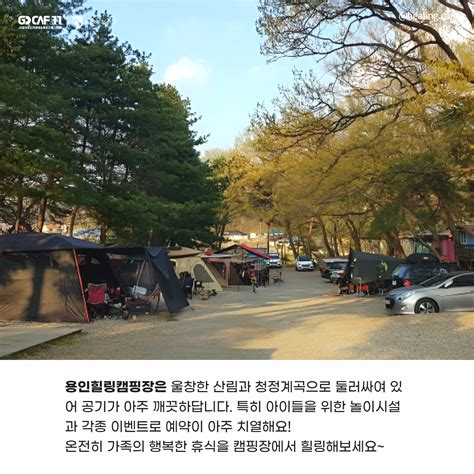 캠핑장 상생 프로젝트 5 용인힐링캠핑장 고카프 매니저는 국제아웃도어캠핑and레포츠페스티벌