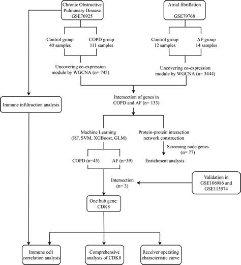 Gene Expression Flowchart At Beth Heard Blog