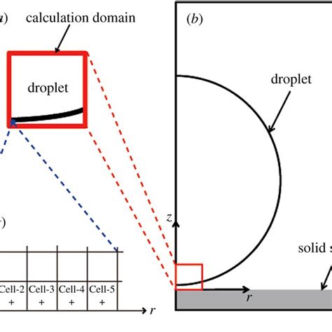 Calculation Domain The Square Shown In A Is The Computational Domain Download Scientific