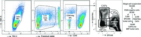 Flow Cytometry Analysis Of A Representative Single Cell Suspension Download Scientific Diagram
