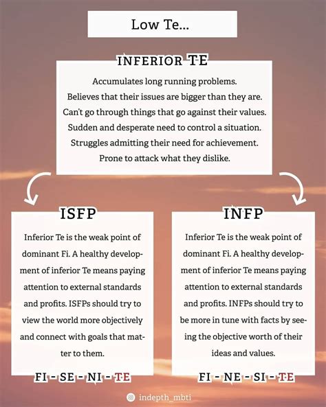 Inferior Te Intp Personality Type Cognitive Functions Mbti Extraverted