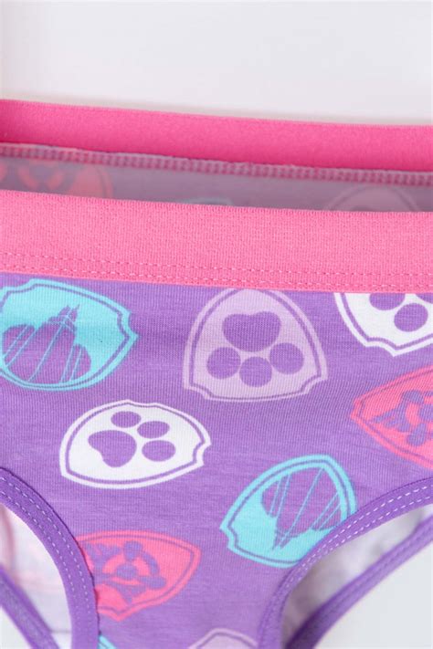 Pack X2 Panties Paw Patrol Blanco Y Morado Para Niña De 2t A 5t