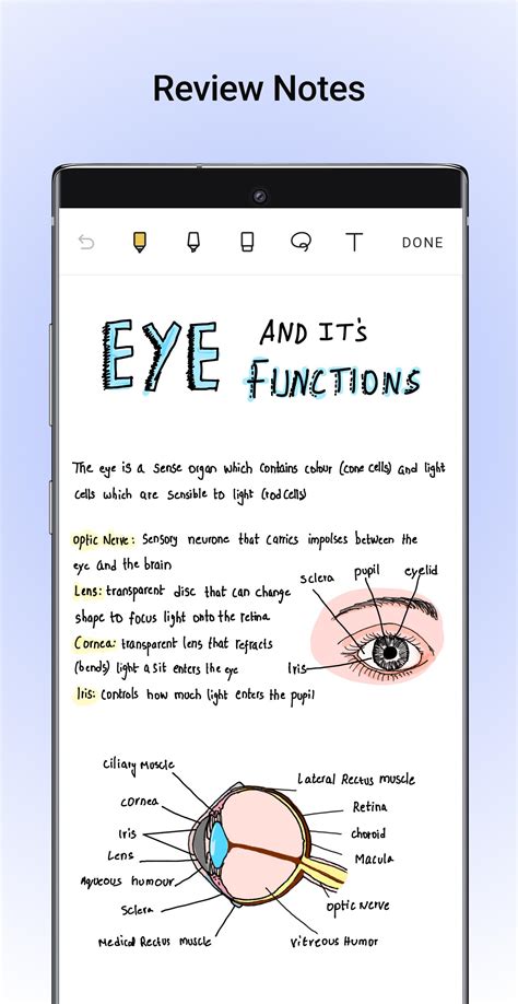 noteshelf notes annotations latest version 9 0 10 for android