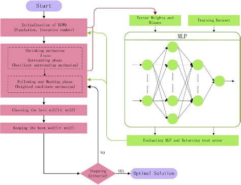 Process Of Elastic Grey Wolf Optimization Algorithm Egwo Training Download Scientific Diagram