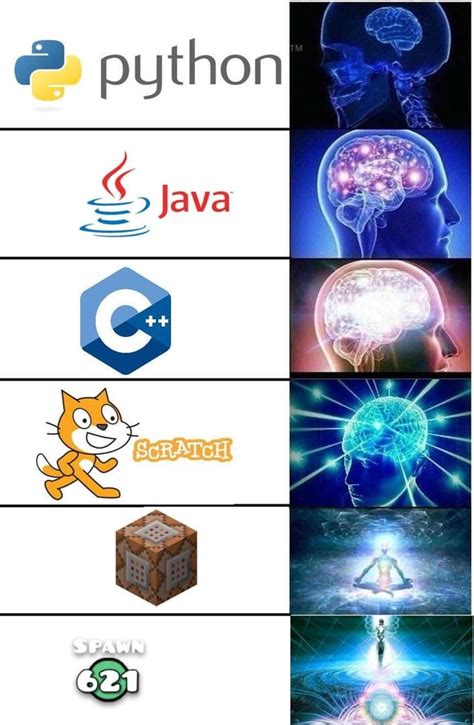 programming hierarchy r programmerhumor