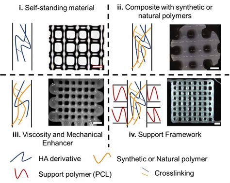 Ha As A Bioink For Extrusion Based 3d Printing A Main Component And Download Scientific