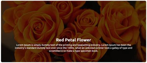 B Slider Best WordPress Slider Plugin BPlugins