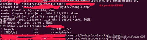 gitea git错误fatal unable to access git couldn t resolve host