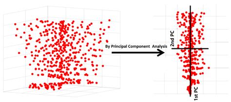 Visualization Of Principal Component Analysis Download Scientific Diagram