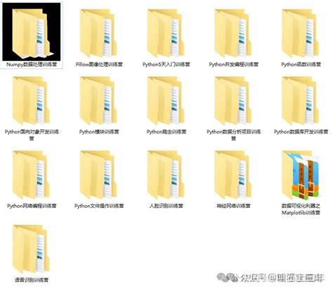 自学python必看的书籍《python编程：从入门到实践第三版》pdf版拿走不谢 知乎