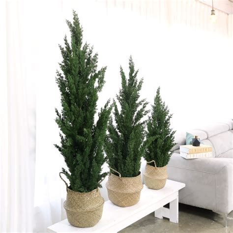 인조나무 조화화분 인조목 주니프러스 향나무 4size 티몬