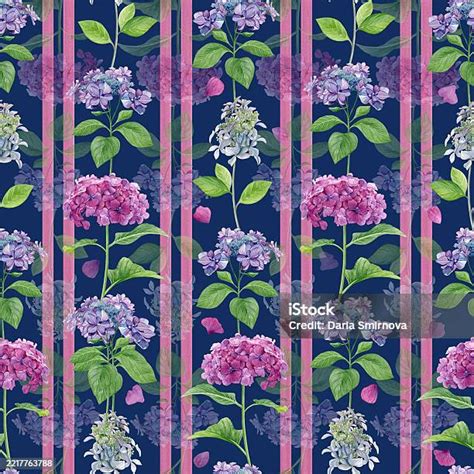 수국 꽃 패턴입니다 진한 파란색 배경에 분홍색 보라색 및 흰색 꽃 분홍색 줄무늬 및 분홍색 꽃잎의 수채화 엽서 초대장 인사말 카드 벽지 직물에 좋습니다 6월에 대한 스톡