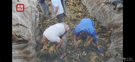 兰州市大型商超连夜下架“老坛酸菜”类食品大西北网