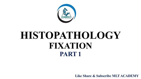 Introduction To Histopathologyfixation Part 1 Youtube