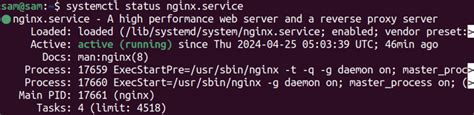 How To Install WordPress With NGINX On Ubuntu 24 04 Linux Genie