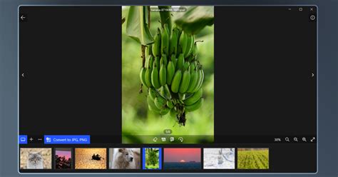 Psd Viewer Psd Viewer Psd To  Png