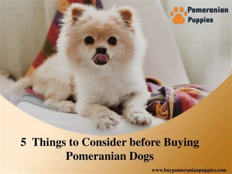 Ppt Things To Consider Before Buying A Spectra S Breast Pump