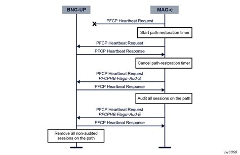 Pfcp Protocol