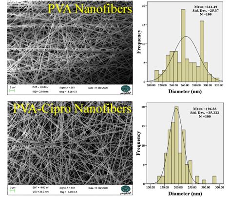 electrospun pva nanofibers a and ciprofloxacin loaded electrospun pva