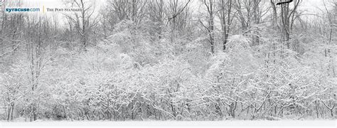 Syracuse Jillian Leveille Cheer And Mickey Watson Syracuse