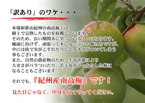 【無選別訳あり】紀州完熟南高梅（まろの梅） 350g 紀州和歌山 梅干し・みかんのja紀南