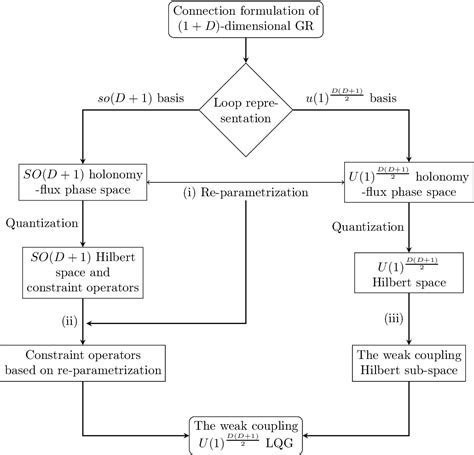 Figure 1 From The Weak Coupling Theory Of All Dimensional Loop Quantum Gravity Semantic Scholar
