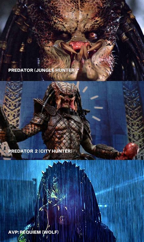 Predator Design Compared Wolfcrow