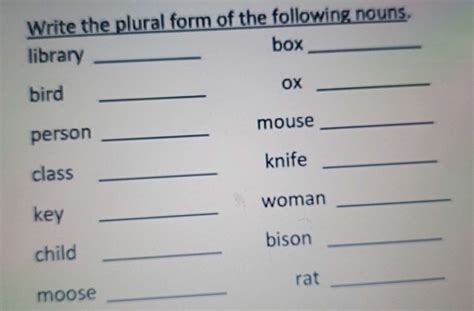 Write The Plural Form Of The Following Nouns StudyX