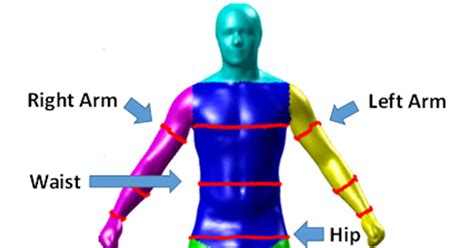 Regression And Machine Learning Offer Insights About Body Composition