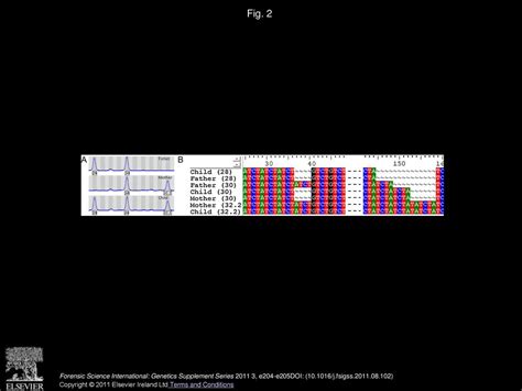 Sequences Of Microvariant Off Ladder STR Alleles Ppt Download