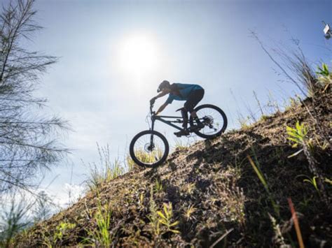 Panduan Lengkap Memilih Sepeda Gunung Rodalink