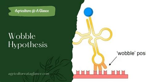 Wobble Hypothesis — Agriculture At A Glance