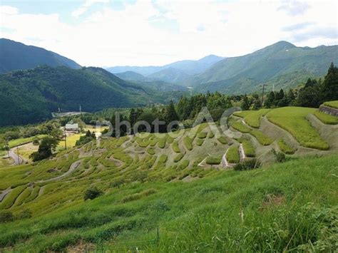 三重県 丸山千枚田 No 28195301写真素材なら写真AC無料フリーダウンロードOK