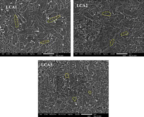 Micrographs Of The Surfaces Of The Glass Ceramic Samples After Heat