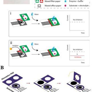 Examples Of Multilayer Paperbased Devices A Inhibition Biosensor For Download Scientific