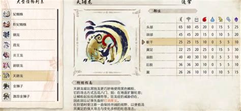 怪物猎人崛起怪异克服天廻龙弱什么属性怪物猎人：崛起大神回答 梦幻手游网