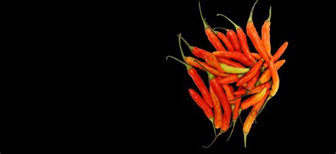 Dit Zijn De Heetste Pepers Om Mee Te Koken én Zo Gebruik Je Ze In Een Gerecht “bij Deze Lijkt