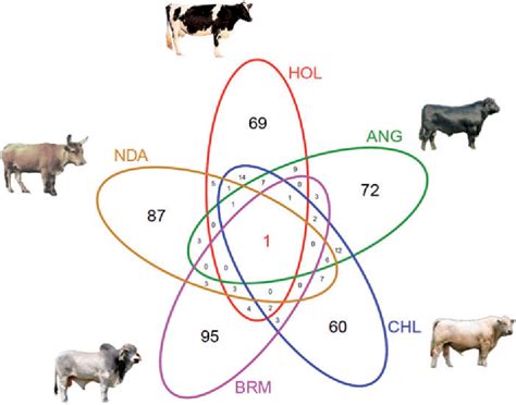Figure 1 From Genomic Signatures Reveal New Evidences For Selection Of Important Traits In