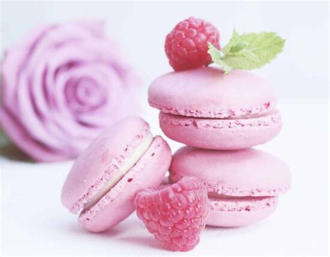 무료 사진 달콤한 베리 맛 있는 음식 과일 라즈베리