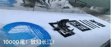 马泽江任宜昌市委副书记来源