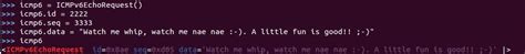 Learning By Practicing Crafting Your First Ipv6 Icmpv6 Echo Request