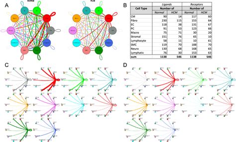 Intercellular Communication Networks Are Reduced In Hcm A Cell Cell Download Scientific