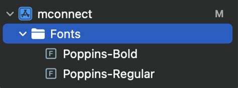 Swift Custom Font Not Loading In Swiftui Project After Moving Code To