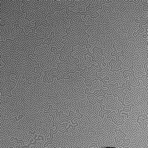 Python Detect Lines Transitioning To Blobs In Images Signal