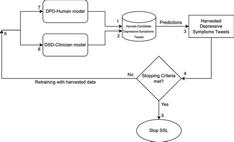 Semi Supervised Learning Process At A High Level Download Scientific Diagram