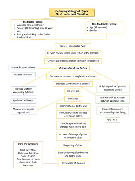 Pathophysiology Of Upper Gastrointestinal Bleeding Pdf Medical Specialties Clinical Medicine