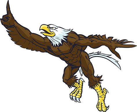 150 Buff Eagle Stock Illustrations Royalty Free Vector Graphics